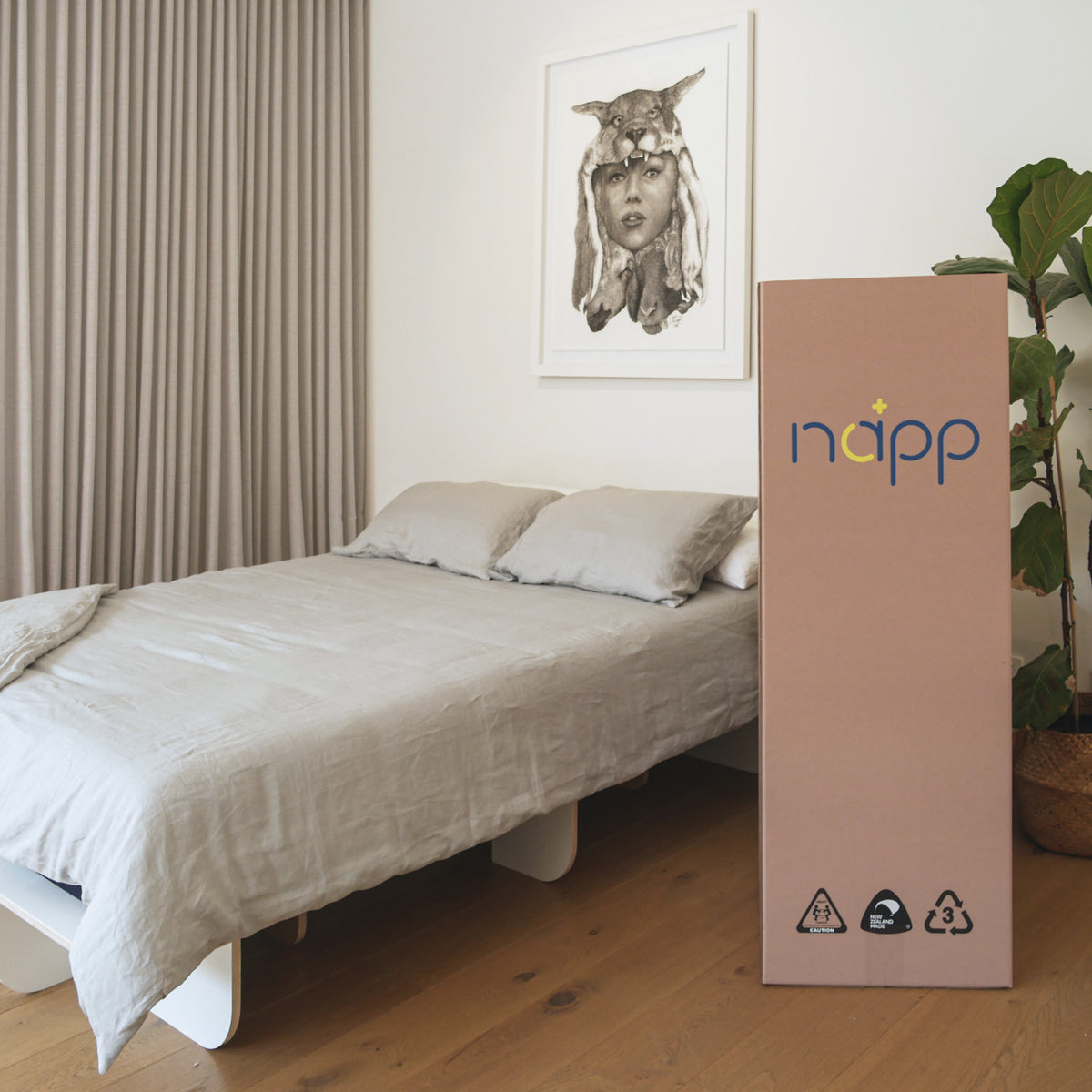 Napp Mattress in a Box | Napp Adjustable Beds NZ